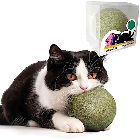 Amazon.com : Fokauiwo 3.94 Inches Huge Catnip Ball for Indoor Cats ...