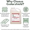 Cedarcide Cedarshield (1 Gallon) | Non-Toxic Wood Treatment and ...
