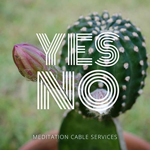 Amazon.com: Yes No : Meditation Cable Services: Digital Music