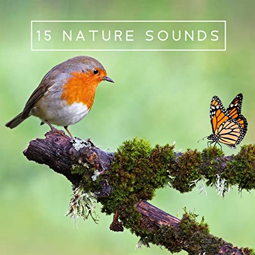 Play 15 Nature Sounds: Mindfulness, Concentration, Visualizations and ...