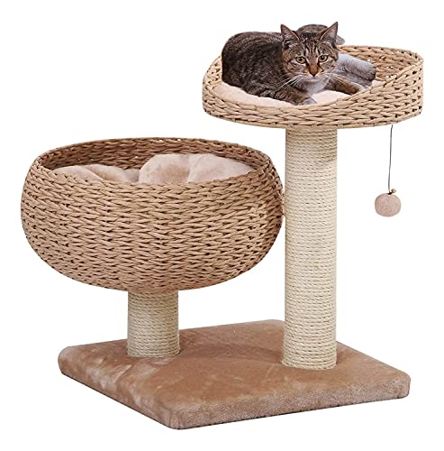 12 Unique Cat Trees: Unconventional Comfort for Your Feline