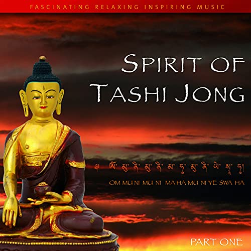 Spirit Of Tashi Jong - Vol.1 de Curtis McLaw feat. Dancing Fantasy en ...