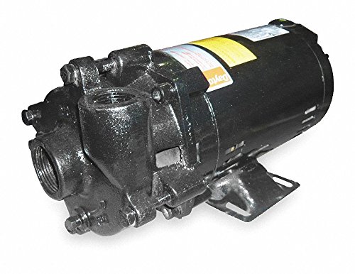 Cast Iron 3/4 HP Centrifugal Pump 208-230/460V: Industrial Centrifugal ...