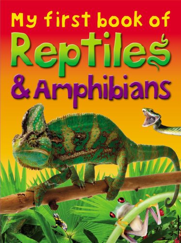 My First Book of Reptiles & Amphibians: Ticktock: 9781846968150: Amazon ...