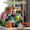 Glass Avocado Tree Growing Kit, Avocado Seed Starter Pot, Hydroponic ...