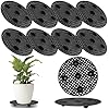 Amazon.com: ZYNERY 10 PCS Plant Level Pot Elevator, Planter Stands for ...