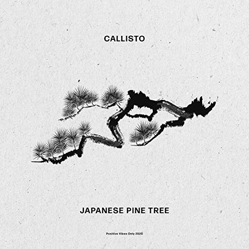 Play Japanese Pine Tree by Callisto on Amazon Music