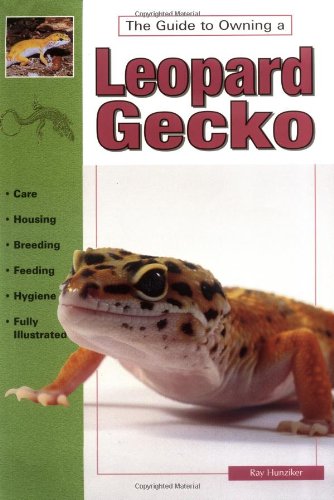 The Guide to Owning a Leopard Gecko/ Leopard Geckos: Identification ...