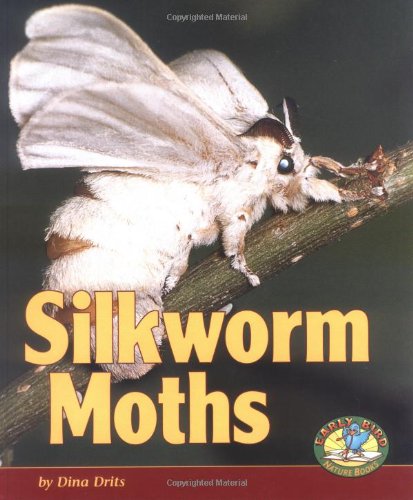 Silkworm Moths (Early Bird Nature Books): Drits, Dina: 9780822500698 ...