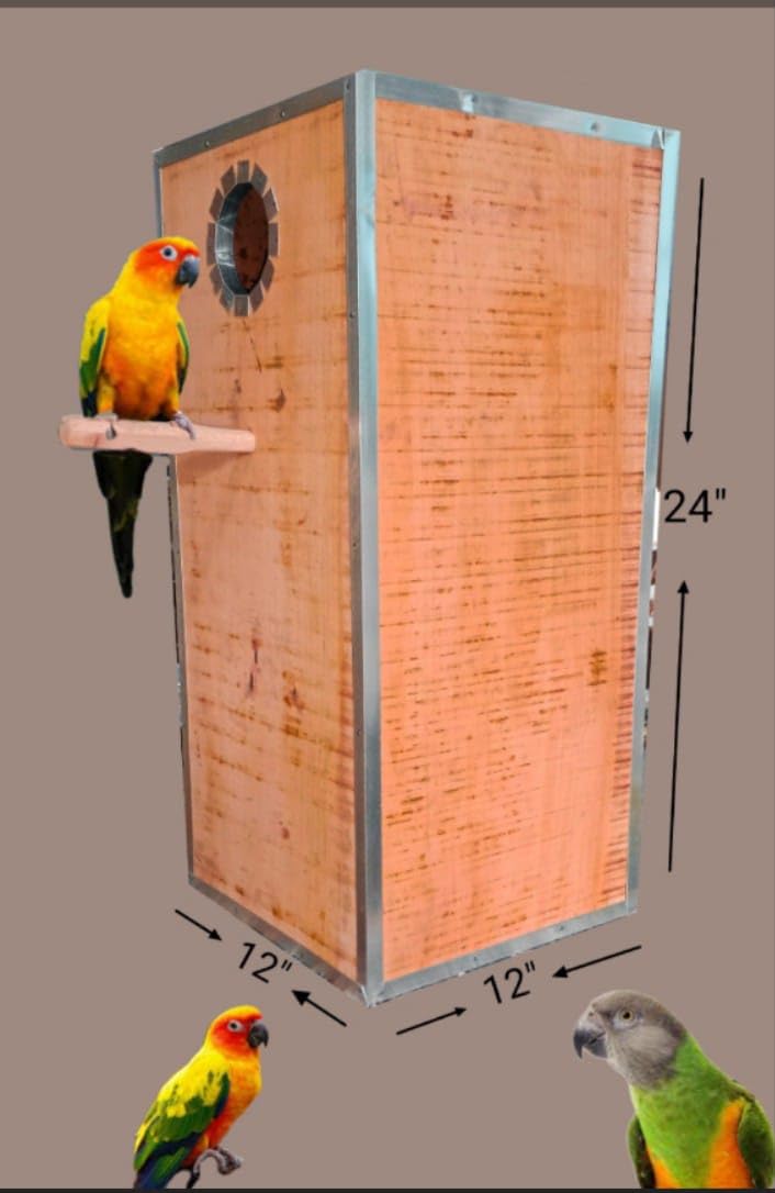 Sunconur breeding Box[Wooden] Nest Box Naturel breeding Box : Amazon.in ...