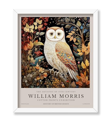 Amazon.com: Monem Art William Morris Poster - Owl Print - Bird Art ...