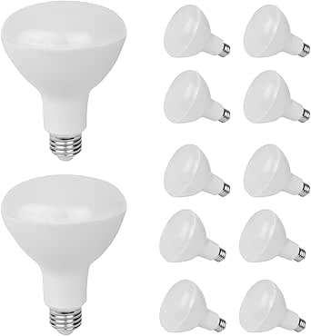 Rysa Light 12 Pack LED BR30 Bulbs, Real 100W Equivalent, Dimmable ...