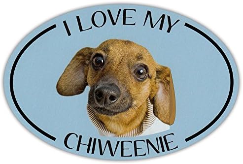Amazon.com: Oval Dog Breed Picture Car Magnet - I Love My Chiweenie ...