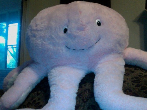Amazon.com: Squishable / Octopus Plush - 15" : Toys & Games