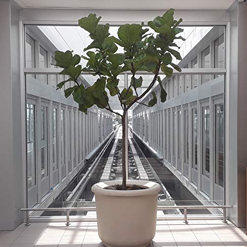 Amazon.com: 271-RSP : Matthew Bertram: Digital Music