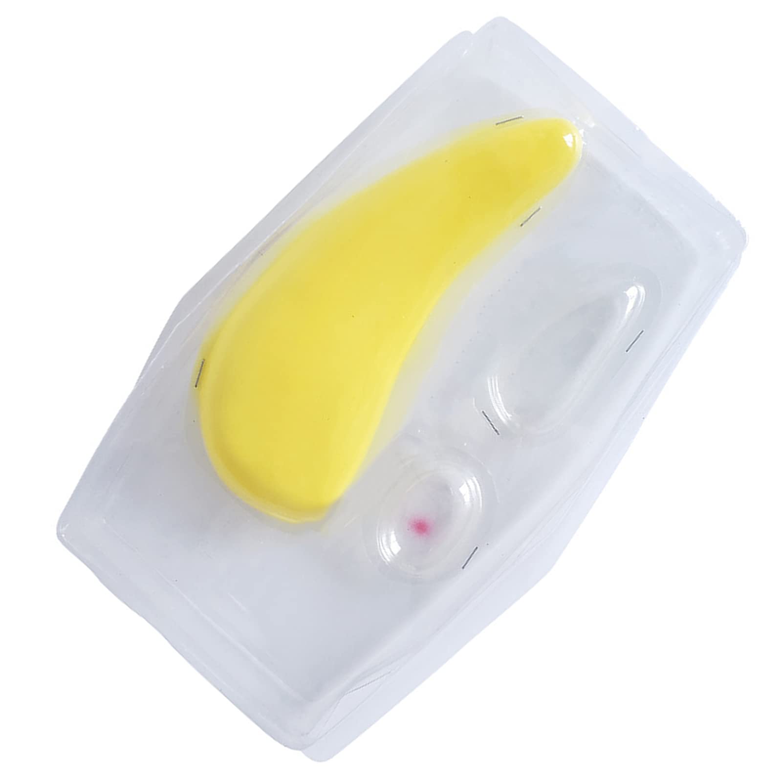 Buy Biology transparent Cell Model - Accurate d Cell Micro structure ...
