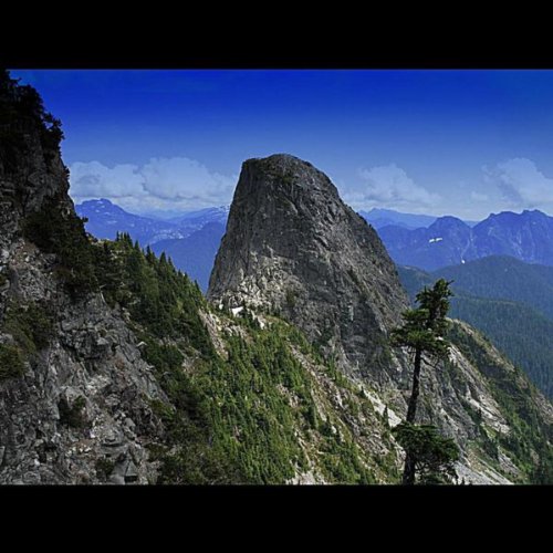 Amazon Music - Hilary Grist & Pop WisdomのHow the Lions Look - Amazon.co.jp