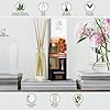 AROMATIKA Cinnamon Reed Diffuser 100ml – Scented Diffuser with Sticks ...