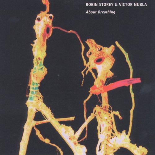 Amazon.com: About Breathing [Clean] : Robin Storey: Digital Music