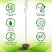 Amazon.com: Mosquito Repellent Incense Sticks 50 Pieces per Box ...