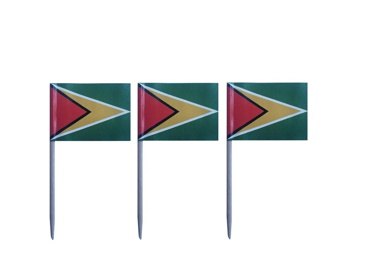 Snapklik.com : CYPS 100 Pcs Guyana Flag Guyanese Toothpick Flags, Small ...