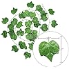 Amazon.com: Hecaty 12 Strands 90 ft Artificial Fake Grape Vines with 3 ...