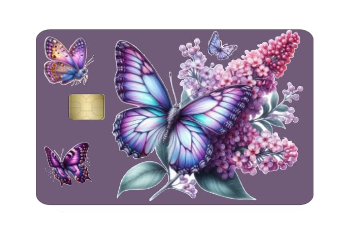 To view this video download Flash Player