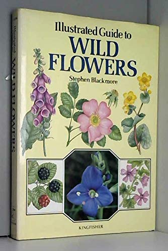 Illustrated Guide to Wild Flowers: Stephen Blackmore: 9780862720070 ...