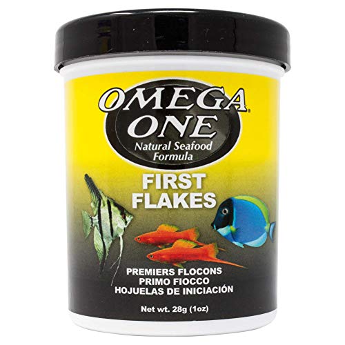 Unlocking the Power of Omega 1: 10 Products That Will Revolutionize ...