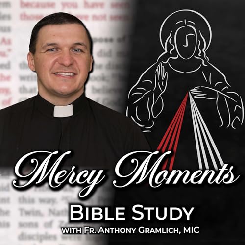 Amazon.com: Mercy Moments Bible Study : The Marian Fathers: Audible ...