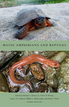 Maine Amphibians and Reptiles 3rd Edition: Malcolm L. Hunter Jr ...