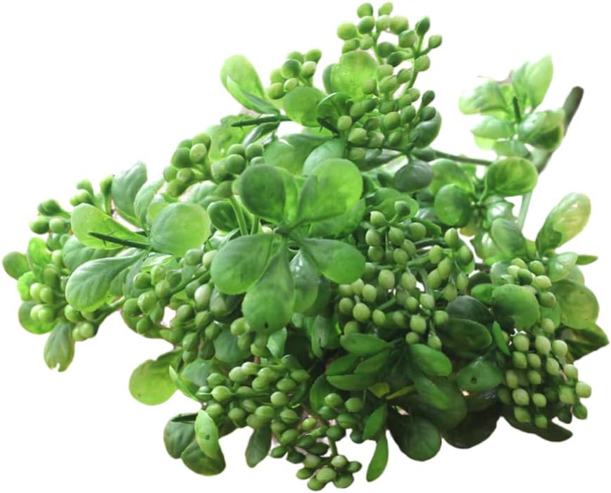 Garneck Fruta decorativa falsa de frutas artificiales – Yaxa Costa Rica