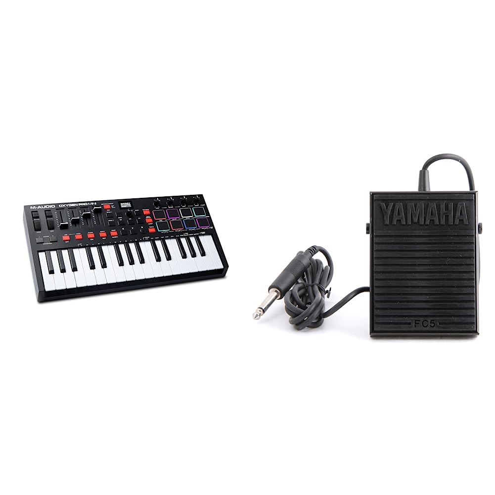 Amazon.com: M-Audio Oxygen Pro Mini – 32 Key USB MIDI Keyboard ...