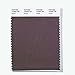 PANTONE 19-0202 TSX Polyester Color Swatch Card, Stingray - Amazon.com