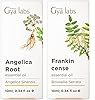 Amazon.com: Gya Labs Angelica Root Essential Oil for Diffuser - 0.34 Fl ...