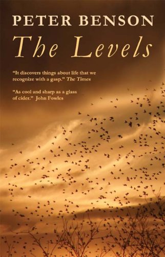 The Levels eBook : Benson, Peter: Amazon.co.uk: Kindle Store