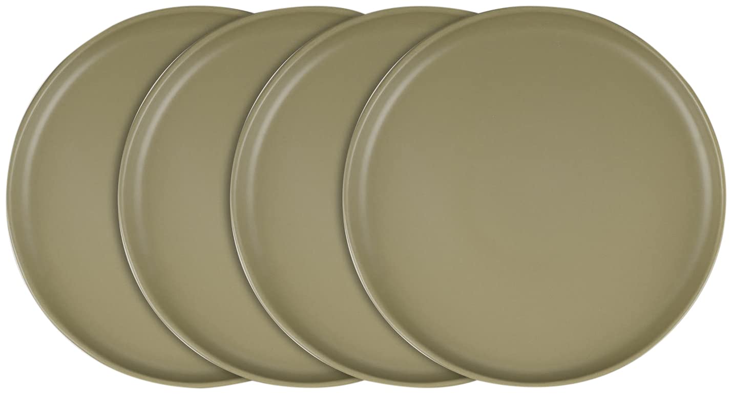 Amazon.com | Stone Lain Stoneware Dish Set, Set of 4 - Dinner Plates ...