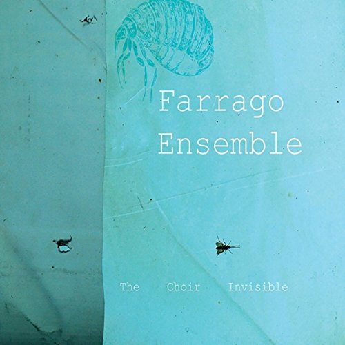 Play The Choir, Inviible by Farrago Ensemble on Amazon Music