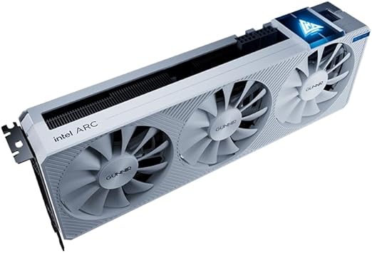 Amazon.com: WEELIAO GUNNIR Intel Arc A770 Photon 16G OC White Graphics Card, 2400 Mhz Video Card ...