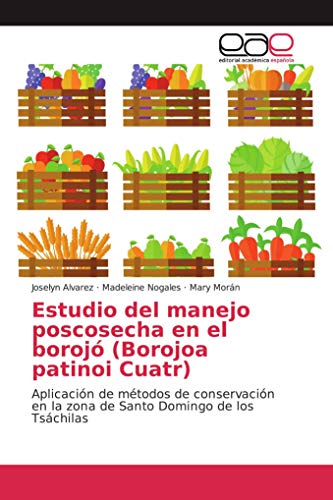 ¿Qué otro nombre recibe el borojó?: Descubre la fruta tropical de ...