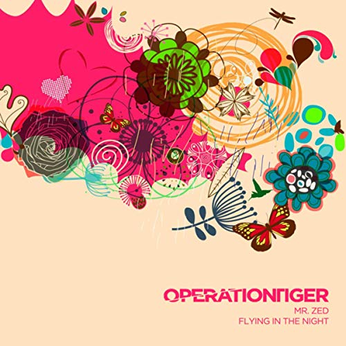 Amazon.com: Flying in the Night : Mr. Zed: Digital Music