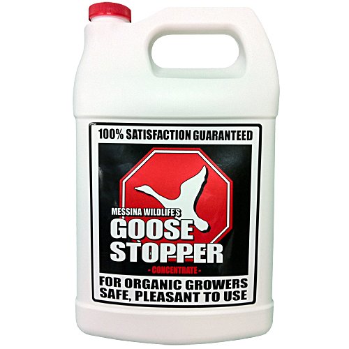 Amazon.com : Messina Wildlife's Goose Stopper Spray, 1 Gallon : Home ...