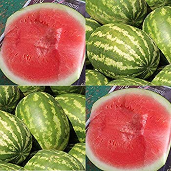 Creative Farmer Vegetable Seeds Kallangadi Balli Seeds - Watermelon ...