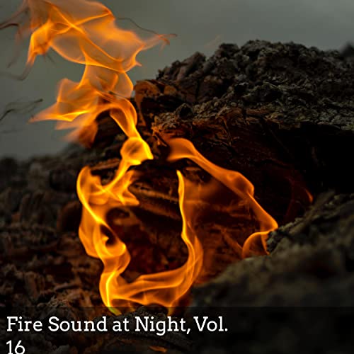 Amazon.com: Fire Sound at Night, Vol. 16 : VARIOUS ARTISTS: Digital Music