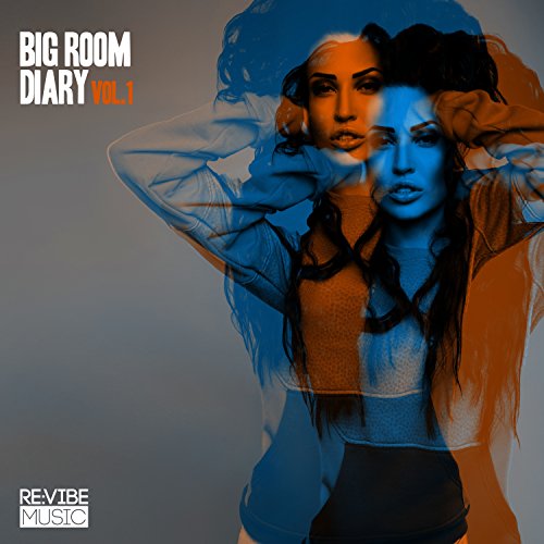 Play Big Room Diary, Vol. 1 by VARIOUS ARTISTS on Amazon Music