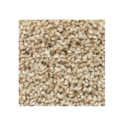 Top 10 Best Carpet Samples Free Swatches : Reviews & Buying Guide - Katynel