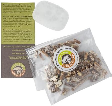 Amazon.com: Oyster Mushroom Mycelium Plug Spawn - 100 Count - Grow ...
