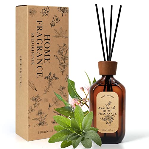 Eucalyptus Dogs Diffuser 2023 - Vet Ranch - We Love Pets