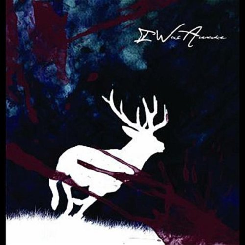 Play I Was Awake by I Was Awake on Amazon Music