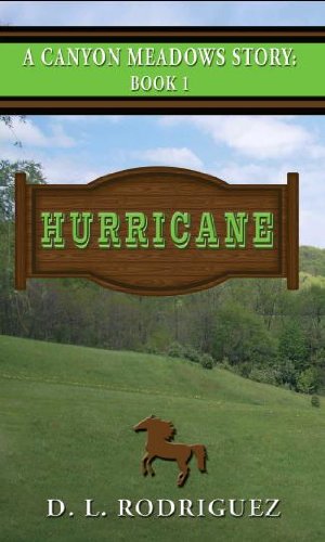 Hurricane: D. L. Rodriguez, BookMasters, Inc.: 9780984451104: Amazon ...